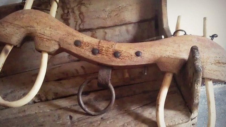 They Met Jesus: Andrew – Lostpine